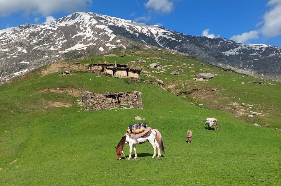 Musa Ka Musalla (4080m) - Trekking - TourRangers